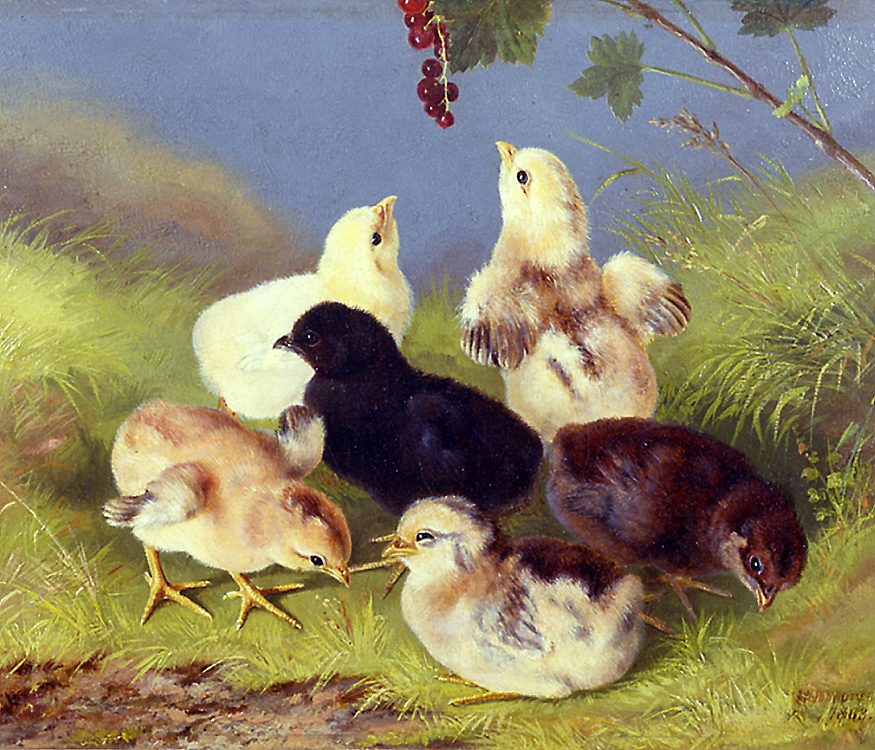 Chicks - Henry Dutton Morse - Rehs Galleries