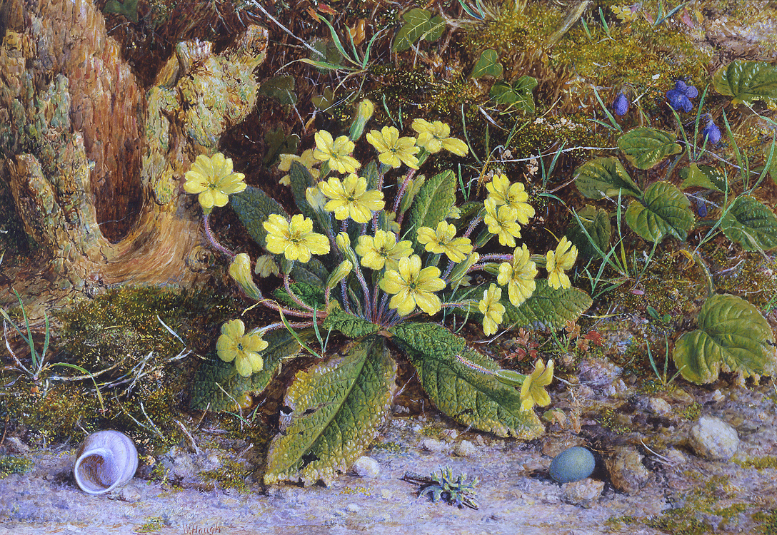 A Still Life of Primroses - William B. Hough - Rehs Galleries